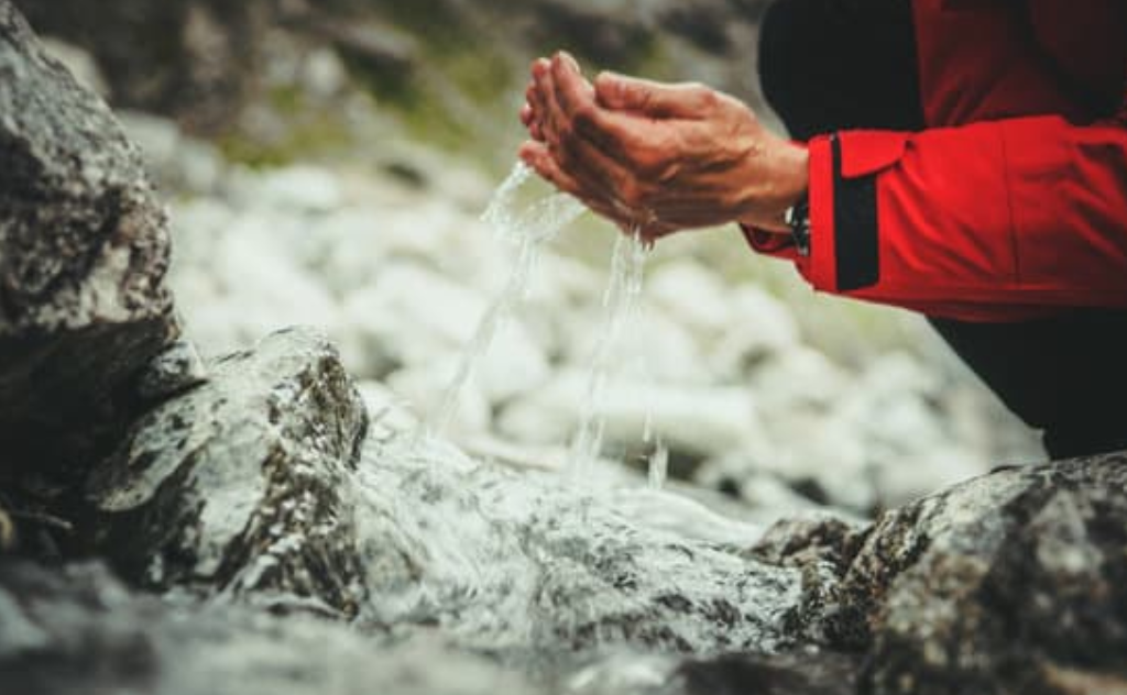 Should I Water Fast? | Water Fasting Benefits | The Brothers Green NZ